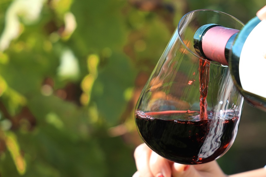 Syrah wine: characteristics and pairings | Blog | Giordano Wines